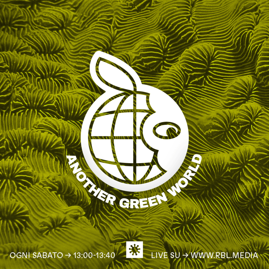 Another Green World, a new show about environmental sustinability